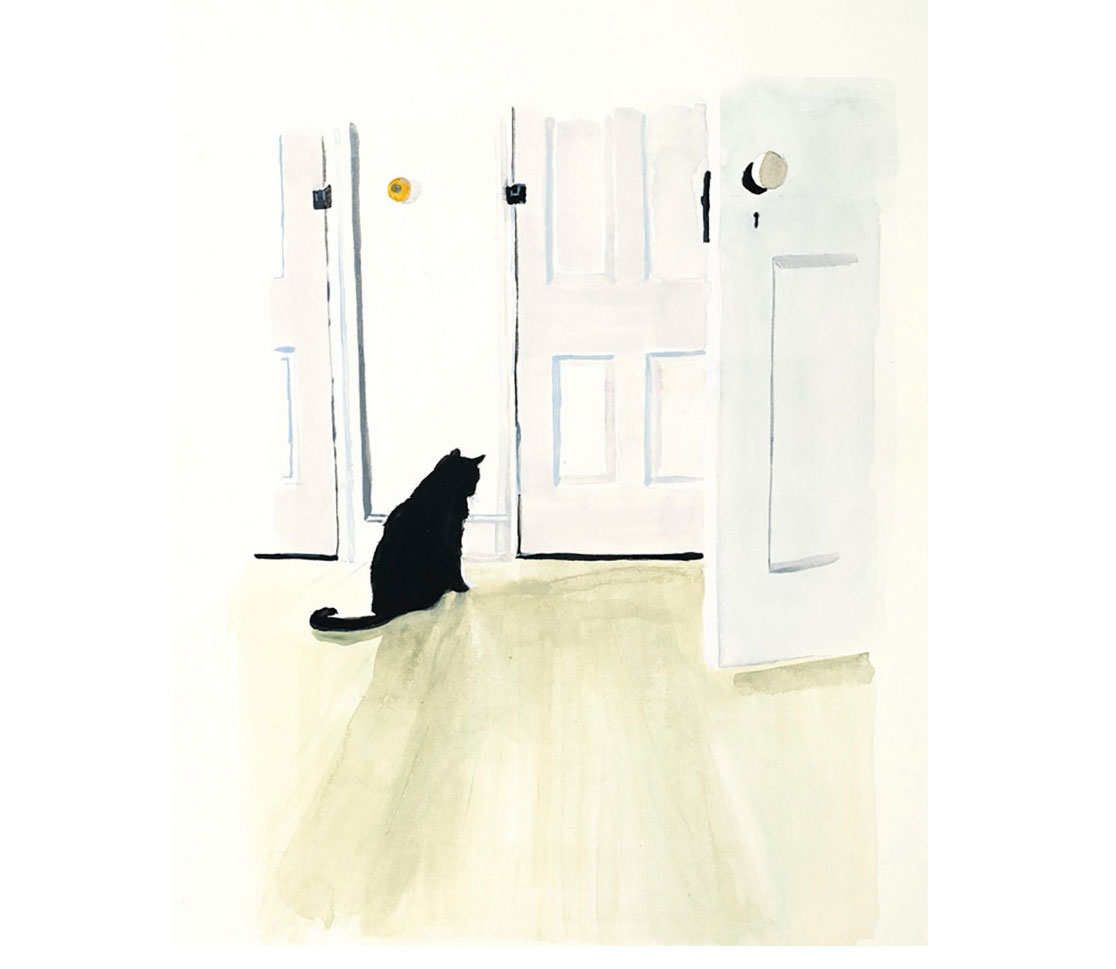 Home | JENNIFER SCHELTER